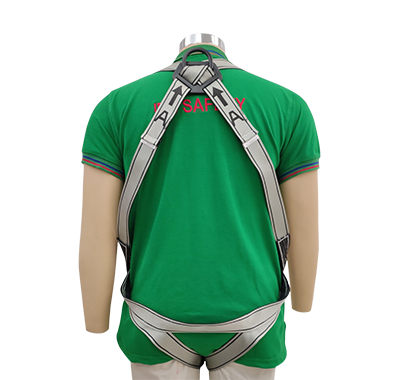 IBS-1003 Classic – IBS Safety